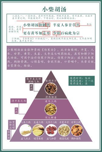 小柴胡汤方歌记忆口诀_小柴胡汤的功效与作用-第2张图片-山城妙识
