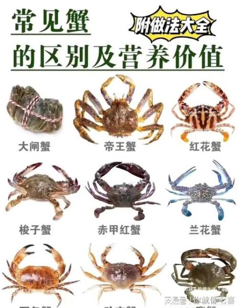 花蟹是河蟹还是海蟹_花蟹和梭子蟹区别-第1张图片-山城妙识