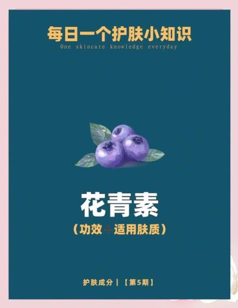 花青素哪些人不能喝_花青素禁忌人群-第2张图片-山城妙识