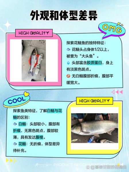 鲢鱼图片大全大图_如何区分花鲢与白鲢-第3张图片-山城妙识
