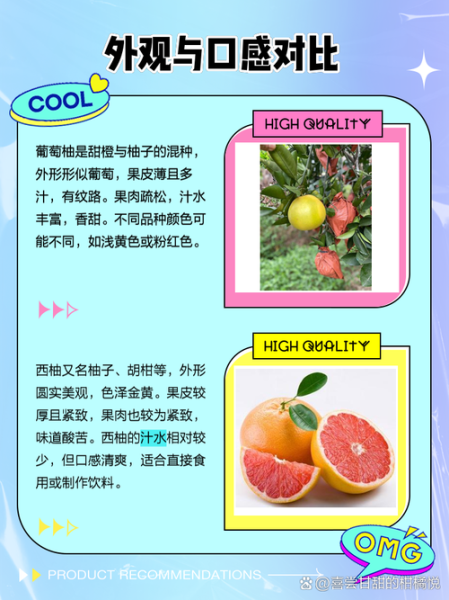 葡萄柚和柚子的区别_哪个更甜更好吃-第1张图片-山城妙识