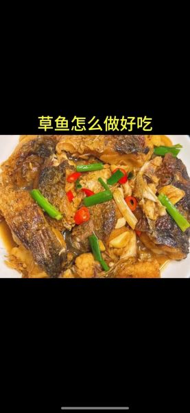 红烧草鱼怎么做才好吃_草鱼怎么做好吃-第1张图片-山城妙识