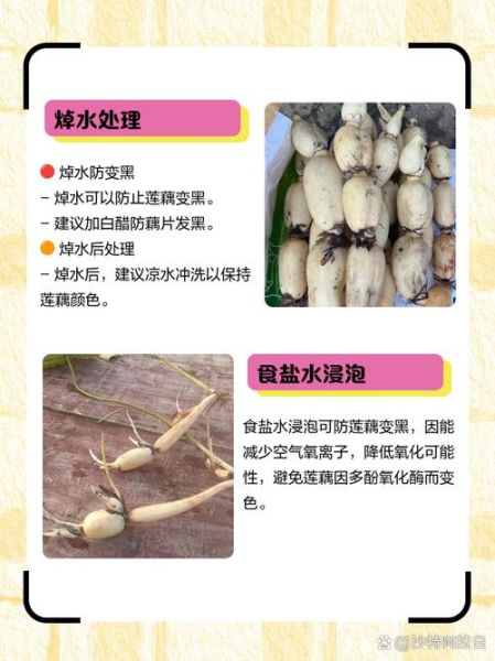 凉拌莲藕怎么做不发黑_莲藕焯水后变黑怎么办-第3张图片-山城妙识