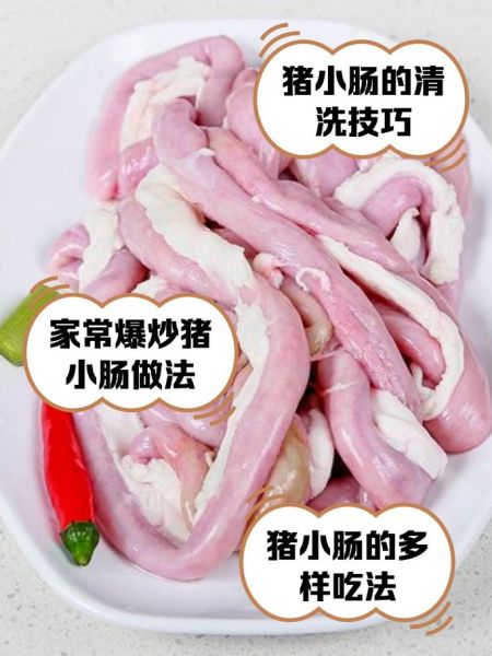 猪小肠是哪个部位_猪小肠是猪的什么器官-第2张图片-山城妙识
