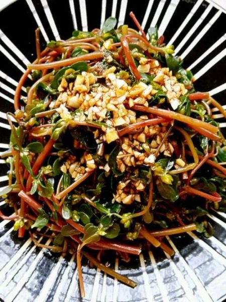 炒马齿苋怎么做_马齿苋怎么炒才好吃-第2张图片-山城妙识