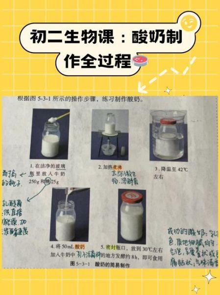 初二生物酸奶怎么自制_酸奶发酵失败的原因-第2张图片-山城妙识 初二生物酸奶怎么自制_酸奶发酵失败的原因-第2张图片-山城妙识
