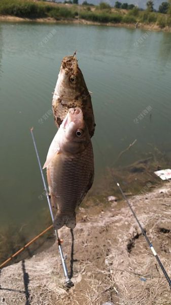 钓鱼图片大全超清_如何挑选高清图-第3张图片-山城妙识 钓鱼图片大全超清_如何挑选高清图-第3张图片-山城妙识