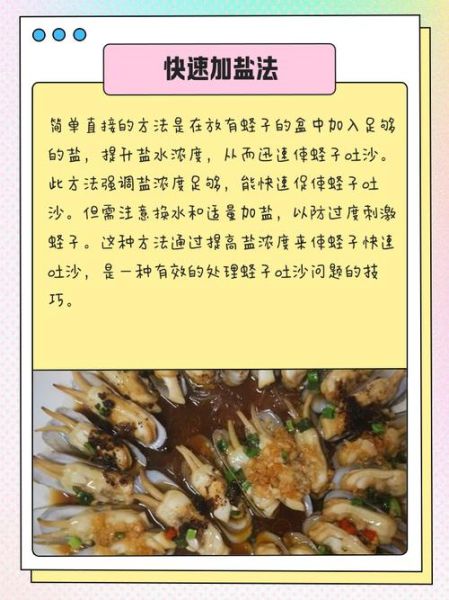 圣子怎么清洗_蛏子怎么吐沙最快-第2张图片-山城妙识