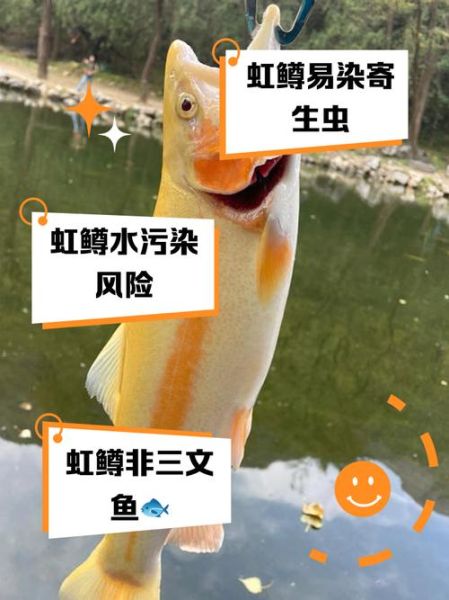 虹鳟鱼怎么去鳞_虹鳟鱼去鳞最简单的方法-第3张图片-山城妙识