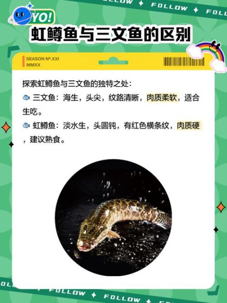 虹鳟鱼怎么去鳞_虹鳟鱼去鳞最简单的方法-第2张图片-山城妙识