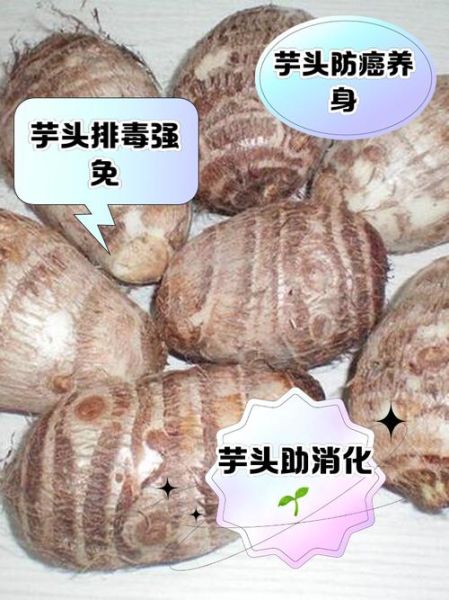 东北野生山芋头图片_如何辨别真假-第3张图片-山城妙识