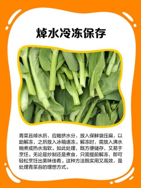常见青菜有哪些_常见青菜怎么保存-第1张图片-山城妙识