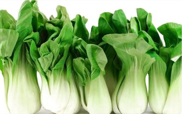常见青菜有哪些_常见青菜怎么保存-第2张图片-山城妙识