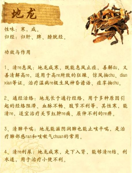 地龙的功效与作用禁忌_地龙用量多少克合适-第1张图片-山城妙识 地龙的功效与作用禁忌_地龙用量多少克合适-第1张图片-山城妙识