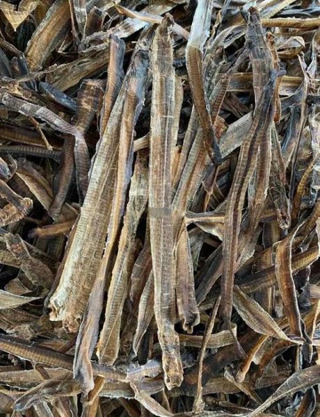 地龙的功效与作用禁忌_地龙用量多少克合适-第3张图片-山城妙识 地龙的功效与作用禁忌_地龙用量多少克合适-第3张图片-山城妙识