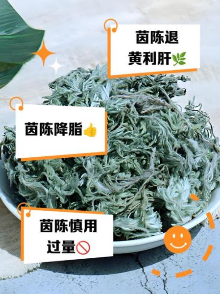 茵陈的功效与作用及禁忌症_茵陈泡水喝的正确方法-第2张图片-山城妙识
