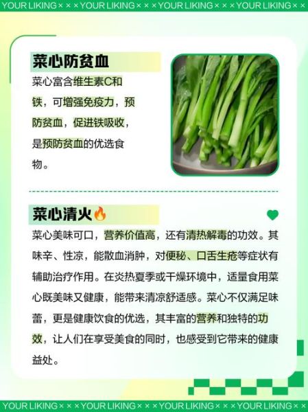 菜心的营养价值_菜心的功效与作用-第1张图片-山城妙识 菜心的营养价值_菜心的功效与作用-第1张图片-山城妙识