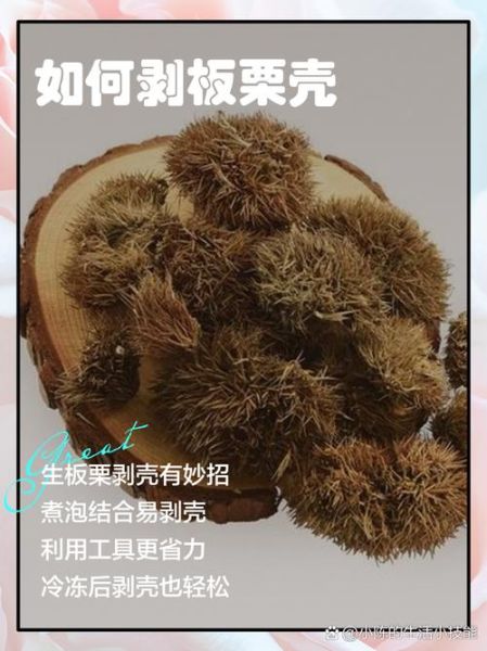 生的板栗怎么去皮_生板栗快速去皮技巧-第3张图片-山城妙识 生的板栗怎么去皮_生板栗快速去皮技巧-第3张图片-山城妙识