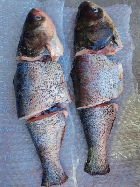 胖头鱼头套怎么选_胖头鱼头套多少钱-第3张图片-山城妙识 胖头鱼头套怎么选_胖头鱼头套多少钱-第3张图片-山城妙识