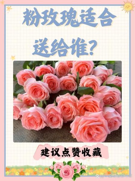 粉玫瑰花语是什么_粉玫瑰适合送谁-第2张图片-山城妙识