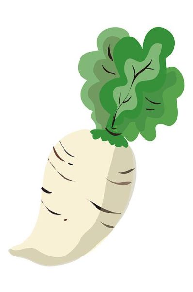 白萝卜卡通图片怎么画_白萝卜卡通图片素材哪里找-第3张图片-山城妙识