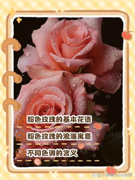 粉玫瑰花语是什么_粉玫瑰适合送谁-第3张图片-山城妙识