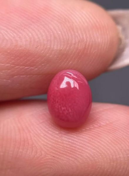 海螺珠现在什么价_海螺珠多少钱一克拉-第3张图片-山城妙识