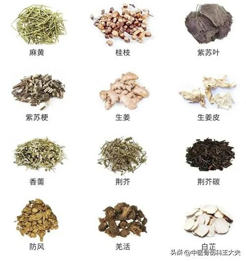 中药图片大全带药名_如何快速识别常见药材-第2张图片-山城妙识