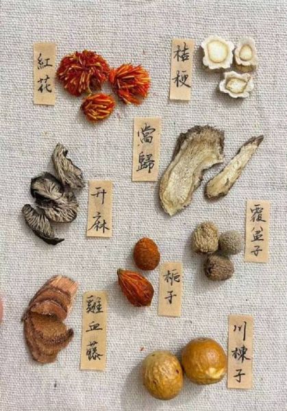 中药图片大全带药名_如何快速识别常见药材-第3张图片-山城妙识