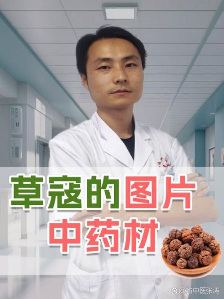 草寇的功效与作用_草寇的禁忌有哪些-第2张图片-山城妙识