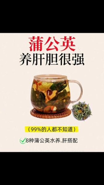 喝蒲公英水会加速肝硬化吗_真相解析-第3张图片-山城妙识