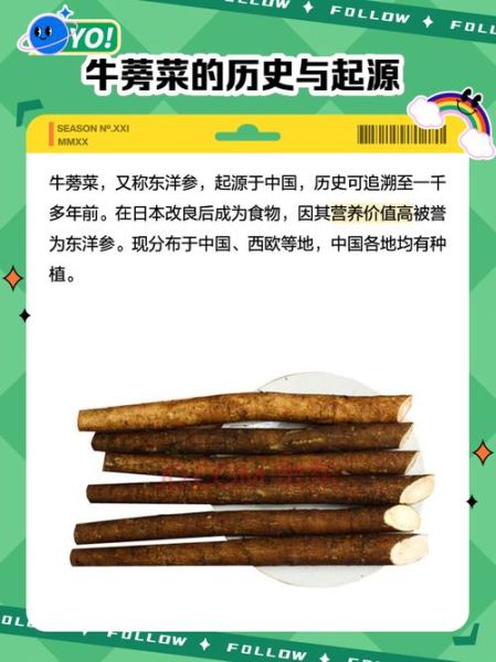 鲜牛蒡怎么吃_鲜牛蒡的禁忌有哪些-第1张图片-山城妙识 鲜牛蒡怎么吃_鲜牛蒡的禁忌有哪些-第1张图片-山城妙识