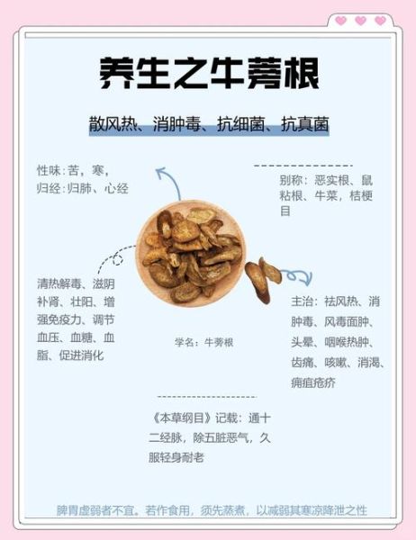 鲜牛蒡怎么吃_鲜牛蒡的禁忌有哪些-第3张图片-山城妙识 鲜牛蒡怎么吃_鲜牛蒡的禁忌有哪些-第3张图片-山城妙识