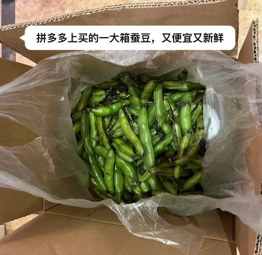 油浸蚕豆怎么做_油浸蚕豆的做法步骤图-第1张图片-山城妙识