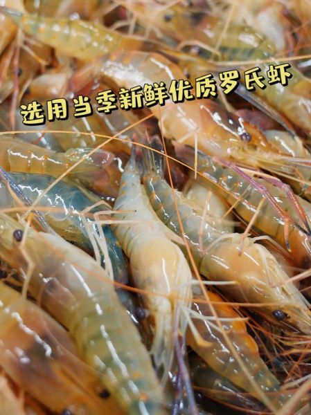 醉虾网是什么_醉虾网安全吗-第1张图片-山城妙识