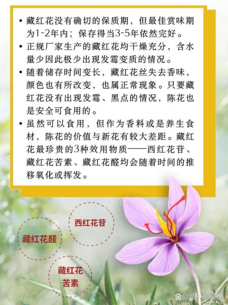 藏红花什么人不能吃_藏红花禁忌人群-第2张图片-山城妙识