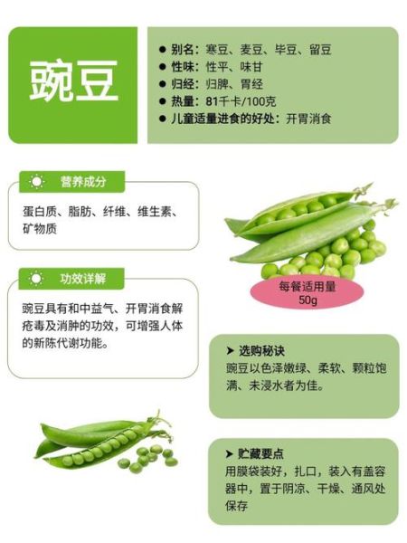 豌豆的营养价值_豌豆的功效与作用-第1张图片-山城妙识