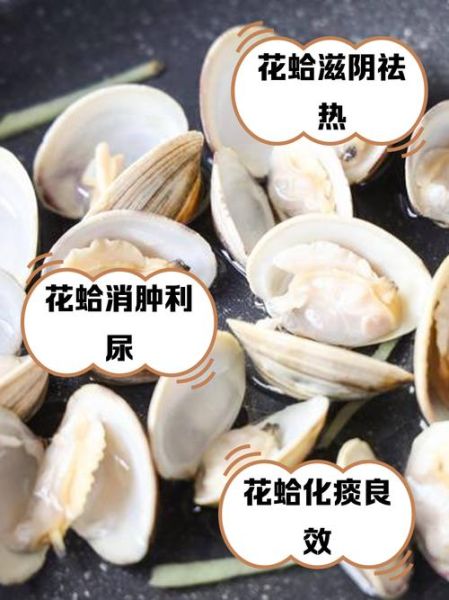 花蛤读音_蛤蜊的读音-第1张图片-山城妙识 花蛤读音_蛤蜊的读音-第1张图片-山城妙识