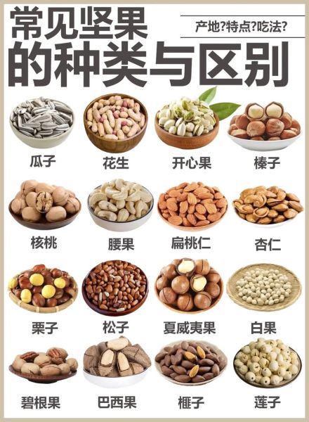 什么是坚果类食物图片_坚果类食物有哪些常见品种-第1张图片-山城妙识