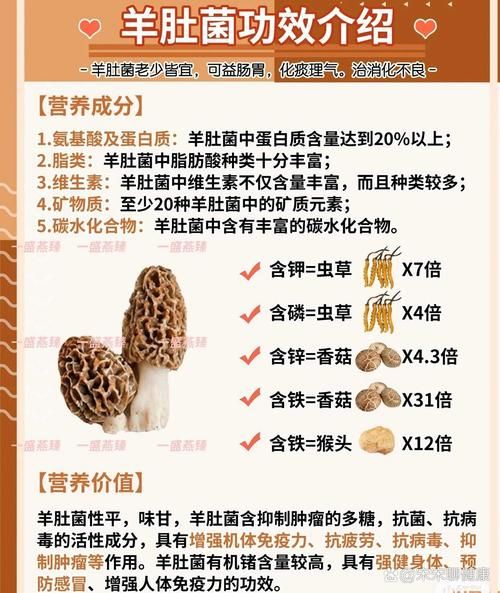 羊肚的功效与作用禁忌_羊肚什么人不能吃-第2张图片-山城妙识