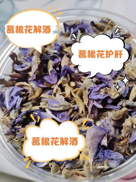 葛根花泡水喝的禁忌_哪些人不能喝-第1张图片-山城妙识