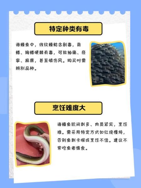 海鳗鱼的功效与作用_海鳗鱼什么人不能吃-第2张图片-山城妙识