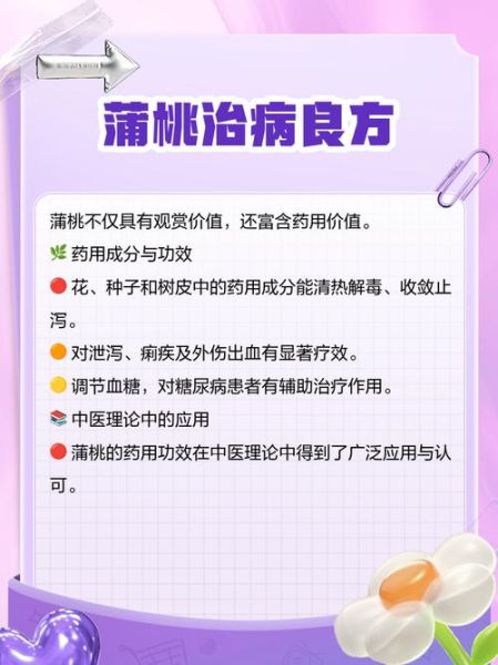 蒲桃怎么吃_蒲桃的功效与作用-第3张图片-山城妙识 蒲桃怎么吃_蒲桃的功效与作用-第3张图片-山城妙识