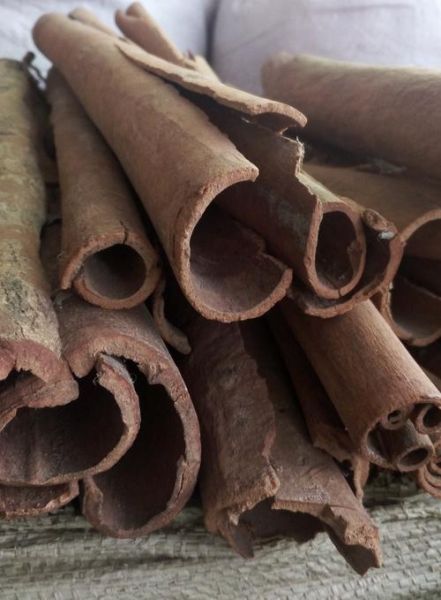 肉桂图片大全大图_肉桂高清图片怎么找-第2张图片-山城妙识 肉桂图片大全大图_肉桂高清图片怎么找-第2张图片-山城妙识