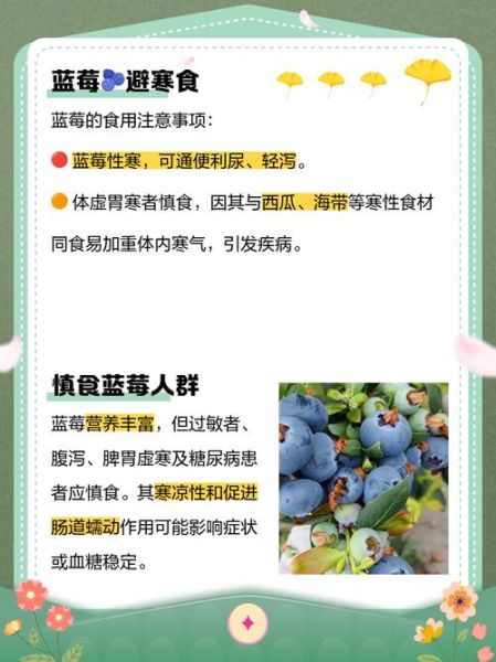 蓝莓不能和什么一起吃_蓝莓相克食物有哪些-第1张图片-山城妙识