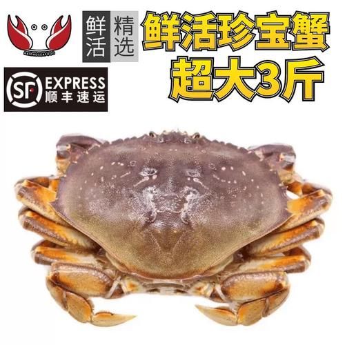 珍宝蟹怎么保存_珍宝蟹冷藏还是冷冻-第2张图片-山城妙识