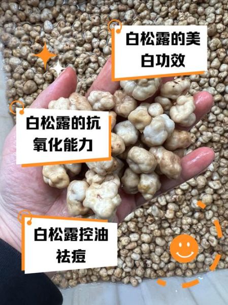 白松露多少钱一斤_白松露为什么这么贵-第2张图片-山城妙识
