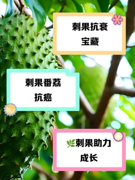 刺果番荔枝的功效与作用_刺果番荔枝怎么吃效果最好-第1张图片-山城妙识