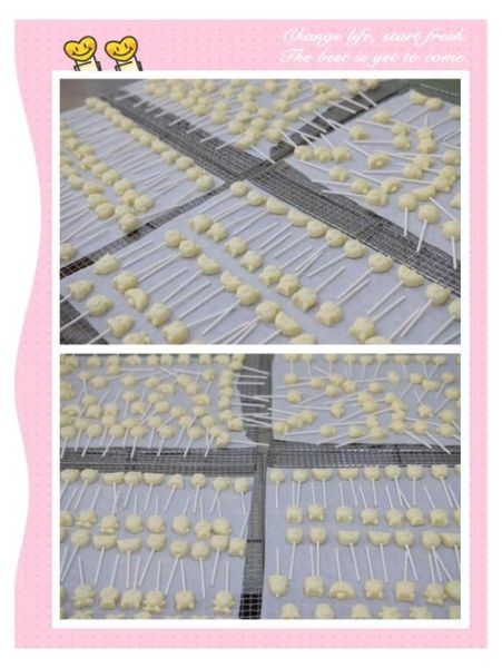 自制牛奶棒棒糖怎么做_牛奶棒棒糖做法窍门-第1张图片-山城妙识