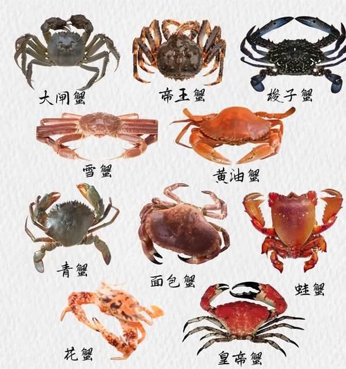 海蟹品种大全_哪种海蟹最好吃-第1张图片-山城妙识
